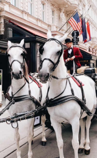 Restaurant Rote Bar, Gourmetrestaurant | Hotel Sacher Wien